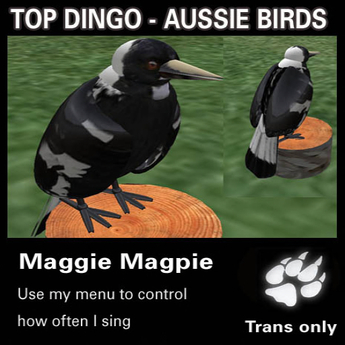 Second Life Marketplace - Maggie the Magpie